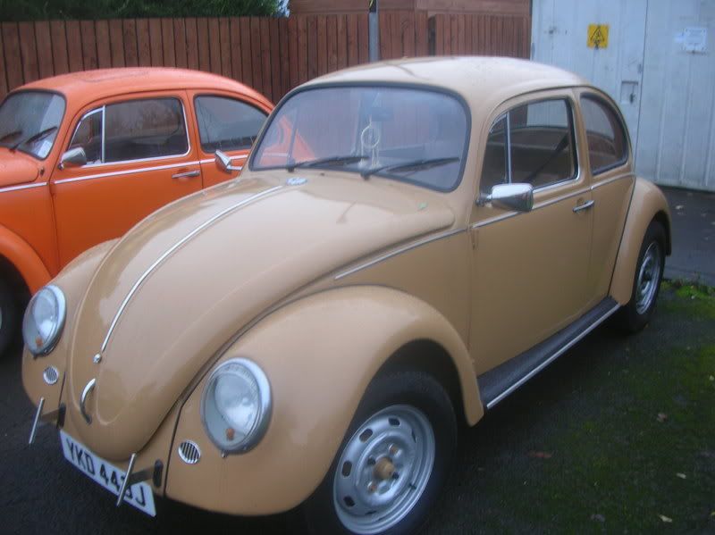 fully restored beetle 72 with pre 67 panels | Volkszone Forum