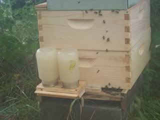 Modified boardman feeder | Beesource Beekeeping Forums