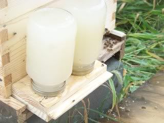 Modified boardman feeder | Beesource Beekeeping Forums