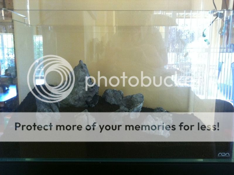 My 60P Planted Tank | Tropical Aquariums SA