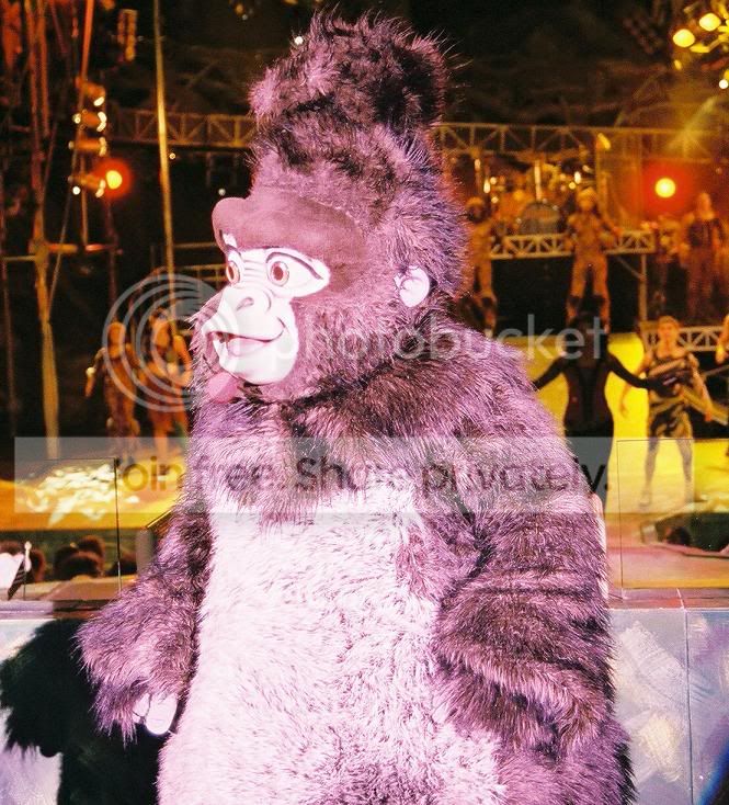*TARZAN Rocks Show* Photos | The DIS Disney Discussion Forums ...