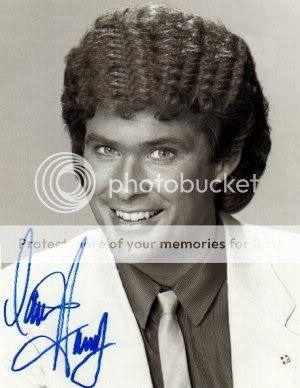 David Hasselhoff Quotes. QuotesGram