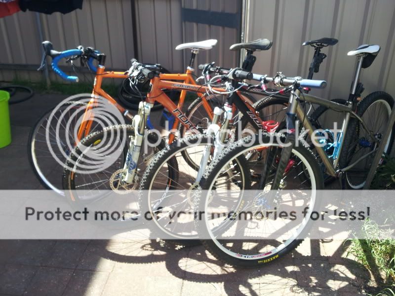 Avanti Vapour 29er | Rotorburn