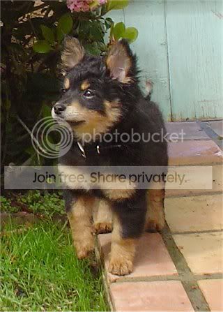 Warms the heart: mack_at_home — LiveJournal