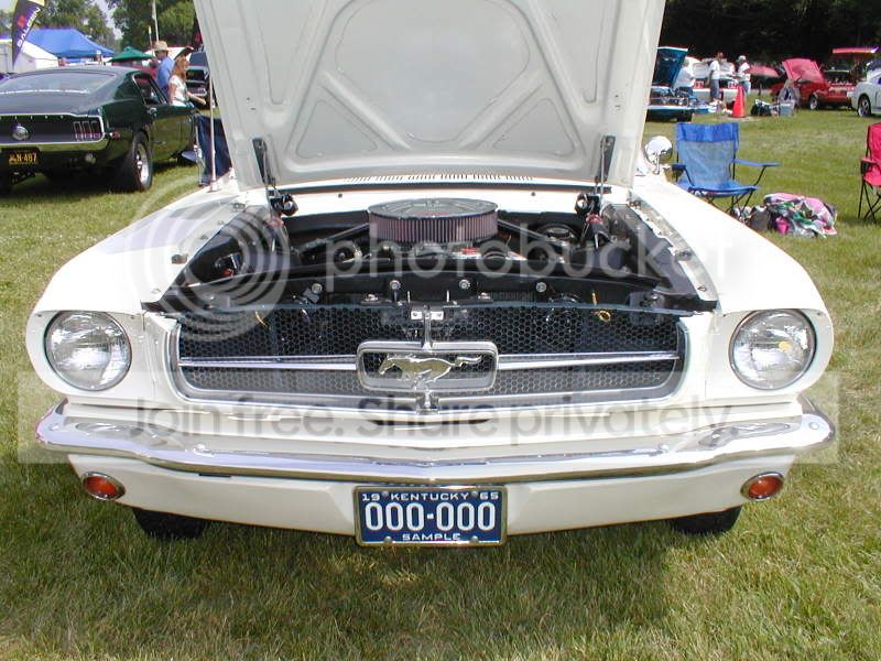 Front license plate ideas | Vintage Mustang Forums