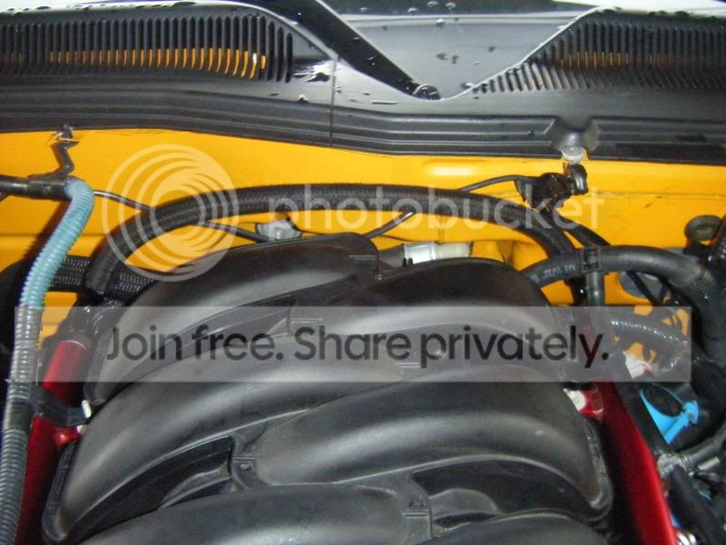 Installed New fuel rails | S197 Mustang Forum - S197Forum.com