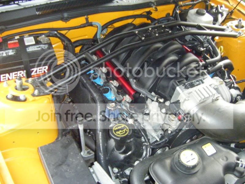 Installed New fuel rails | S197 Mustang Forum - S197Forum.com