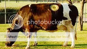 OT: To Icecow: PLEASE change your diet! | AVS Forum